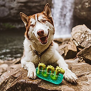 Barkbox Tough Dog Toys & Chews for Aggressive Chewers, Durable Rubber & Nylon Super Chewer Treat Dispensing, Balls, & Teething Toys for Small, Medium, & Large Dogs & Puppies, The Dog Ness Monster