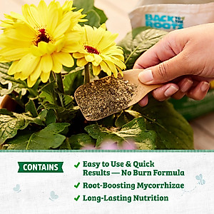 Back to the Roots Organic All-Purpose Plant Food (5 lb. Value Size), Premium Blend, Safe & Sustainable Vegan Formulation Made with Kelp and Alfaalfa Meal, Mycorrhize, and Rock Phosphate Minerals