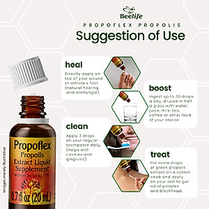 Beelife Propoflex Green Propolis Extract 20ml - 11% Dry Extract - Bee Propolis Tincture, High Artepillin-C Levels – Natural & Kosher Antioxidant-Rich Liquid Supplement for Health, Wellness Brazil 20ml