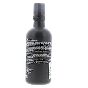 Aveda Pure-Formance Men's 10-ounce Shampoo