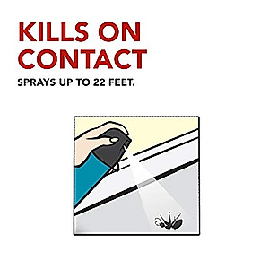 Raid Wasp and Hornet Killer (Pack - 2)