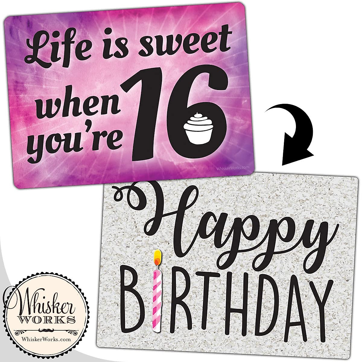 Vibrant Plastic Photo Booth Prop Signs - Sweet Sixteen Mix - Set of 2 Colorful Signs for a Sweet 16th Birthday Party