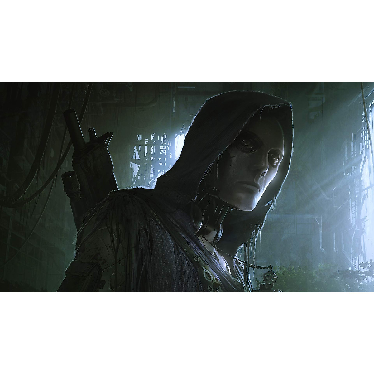 Wasteland 2: Director's Cut (Nintendo Switch)