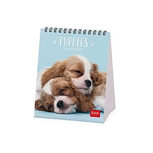 Legami - Table Calendar 2024, 12 Months and Annual Planner 2025, Space for Notes and Notes, Number of the Week, Zodiac Signs and International Holidays, Single Cellophaning, 12x14.5 cm