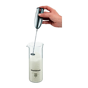Bodum Schiuma Milk Frother, 1 EA, Stainless Steel