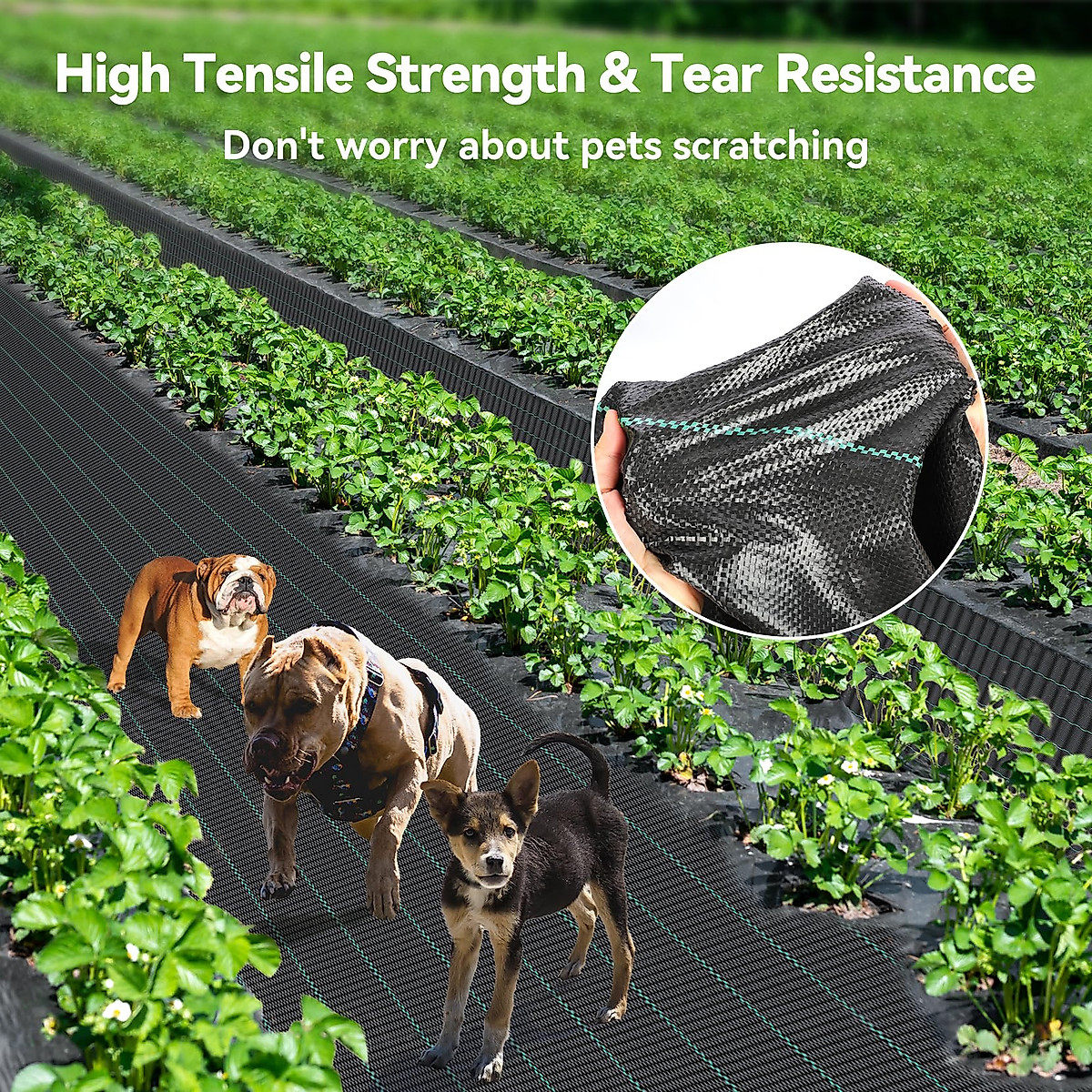 iropro 4ftx300ft Weed Barrier Landscape Fabric Heavy Duty, Woven Weed Control Cloth, Woven Geotextile Fabric for Underlayment, Gardening Ground, Commercial Driveway Weed Block Cover Mat