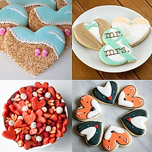 Ecoart Cookie Cutter Set - Star Flower Heart Butterfly Biscuit Cutters - Stainless Steel Sandwich Cutters/Vegetable Cutters Shapes Set with Comfort Grip for Kids & Adults (Set of 4)