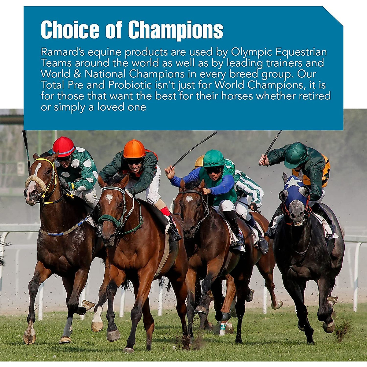 Ramard Total Pre & Probiotic Plus Blood Fluids Muscle Replenishment Supplement Bundle - 50 Million CFU Formulated w/Natural Chicory Inulin, & Electrolytes for Equine, Foals & Adult Horses Supplements