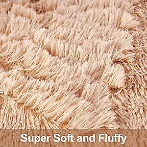 XYORAINN Ultra Soft Area Rugs for Living Room, 6x9 Beige Fluffy Plush Rugs for Bedroom, Non-Slip Large Shag Fuzzy Rug for Nursery, Large Rug for Kids Home Decor Aesthetic