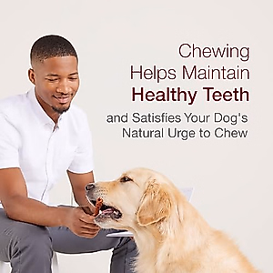 SmartBones Sticks Wrapped with Real Chicken, Steak and Quinoa Rawhide-Free Chews for Dogs, 5 Chews Per Pack, 4.4 Ounces