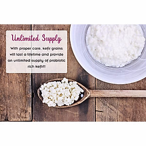 Fusion Teas 1 TBSP Organic Milk Kefir Grains and ebook “Milk Kefir Unleashed by Thomas Egbert” - Fresh Live Active Probiotic Starter Cultures