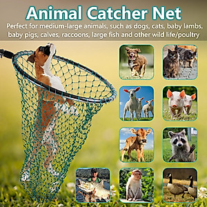 Wamlet Dog Catch Net Animal Control Net Poultry Catching Trap Tool Length Adjustable for Cat, Pigeon and Others (42~70" Handle with 22" Net Opening) (Stainless Steel, Natural)