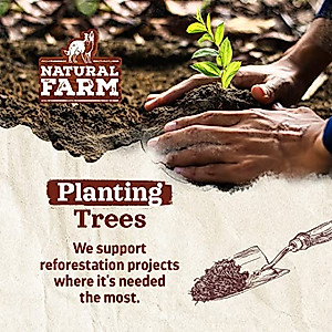 Natural Farm Cow Hooves (6 Pack), Odor-Free, All Natural Sourced from Farm-Raised Beef Hoof Dog Treats, Great Alternative to Bully Sticks or Rawhide, Dental Chew for Small, Medium, Large Breeds