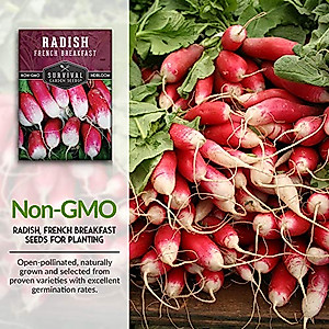 Survival Garden Seeds - French Breakfast Radish Seed for Planting - Pack with Instructions to Plant and Grow Long Radishes to Eat in Your Home Vegetable Garden - Non-GMO Heirloom Variety