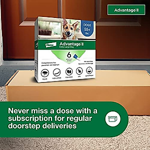 Advantage II XL Dog Vet-Recommended Flea Treatment & Prevention | Dogs Over 55 lbs. | 6-Month Supply