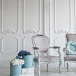 Ekena Millwork PNL16X24AS-01-CASE-2 Ashford Molded Classic Wainscot Wall Panel, 16"W x 24"H x 1/2"P, Factory Primed White, 2 Count