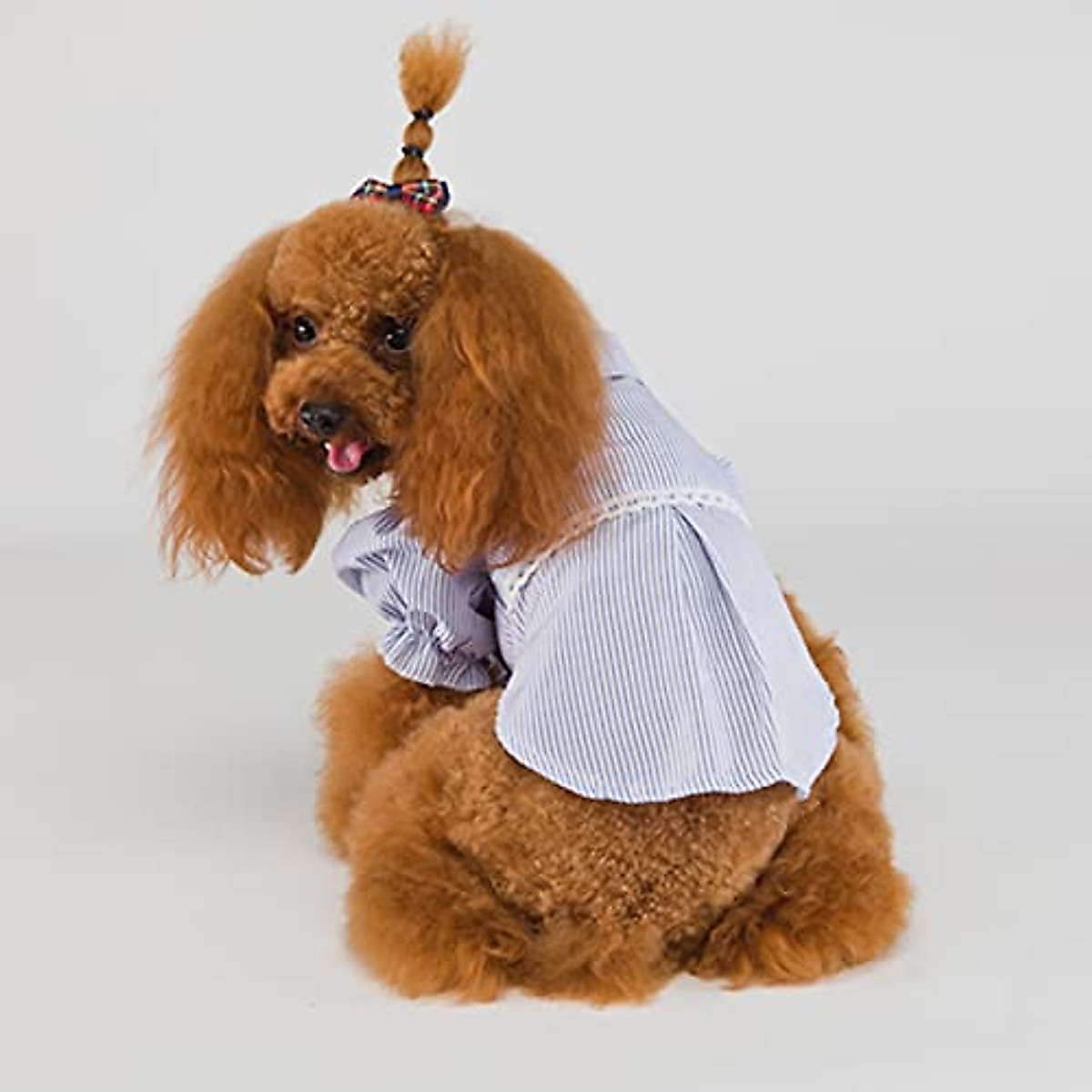 Pet Clothes Dog Dress Spring and Summer Spring Cute Custume Chihuahua Coat Outfits Pet Supplies Dog Shirt for Small Dogs Girl