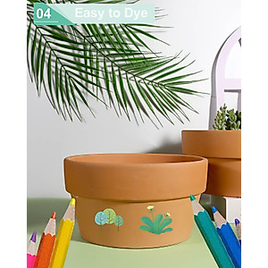 vensovo 8 Inch Terracotta Shallow Succulent Pot - 2 Pack Large Terra Cotta Clay Pot with Saucer, Cacuts Indoor and Outdoor Planters with Drainage Hole