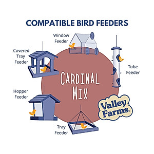 Valley Farms Cardinal Mix Wild Bird Food for Outside Feeders, Bird Seed with Black Oil Sunflower Seeds and Safflower Seeds, Attract a Variety of Wild Birds, 3 LBS 2-Pack (6 LBS Total)