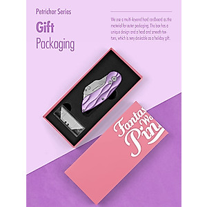 FantastiCAR Fancy Folding Utility Knife Box Cutter Set with Extra Blades (Blue and Purple), Metal Handle