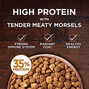 Purina ONE Natural, High Protein, Grain Free Dry Cat Food, True Instinct With Real Chicken - 3.2 lb. Bag