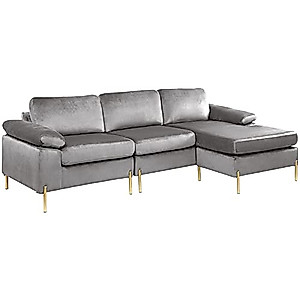 Devion Furniture Modern Velvet Sectional Sofa in Gray/Gold Legs