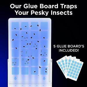 WizTrap MiniMax Plug in Fruit Fly Traps for Indoors! A Flying Insect Trap with UV LED Bulbs & 5 Glue Board Refills! Gnat Trap Used as a Fruit Fly Killer, Indoor Fly Trap, Mosquito Trap, Gnat Killer!