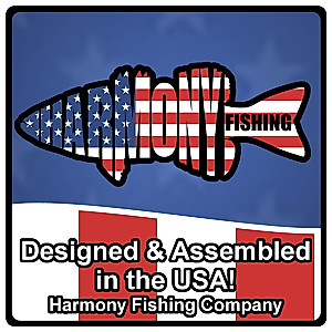 Wacky Rings (100 pk, Clear – O-Rings for Wacky Rigging Senko Worms/Soft Stickbaits – Bait Saver Orings for 6” Senko Style Worms – Save your worms from tearing while Wacky Rigging