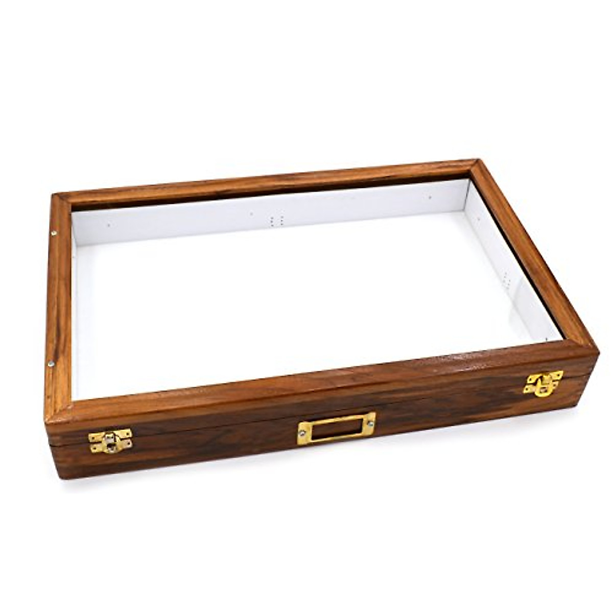 Polished Wood Insect Storage Box with Clear Top - Ideal for Preserving and Displaying Insects - Entomology Collection Case - Eisco Labs