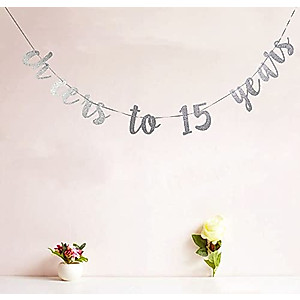 StarsGarden Cheers to 15 Years Banner - It's My Funny Fabulous 15 Banner -15th Birthday Banner Decorations - Milestone Happy Birthday Decorations(Silver 15), SG-22NP453