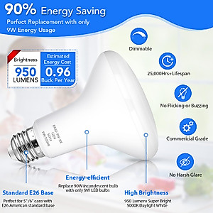Maylaywood BR30 LED Light Bulbs Indoor Flood Light, 90W Equivalent, Dimmable, Daylight White 5000K, 950LM, E26 Base, 9W LED Recessed Can Bulb, 6-Pack