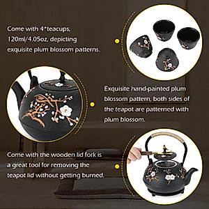 Dyna-Living Cast Iron Teapot Japanese Tea Kettle Set 1200ml/40.6oz Japanese Cast Iron Teapot Set with 4 Tea Cups Japanese Style Tea Pot with Infuser Cast Iron Tea Kettle for Tea Lover