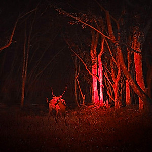 AR happy online 3 Pack Red Light Flashlight, 3 Modes Mini Red LED Flashlight, Zoomable Red Flashlight Torch with Clip for Night Vision, Astronomy, Aviation, Night Observation