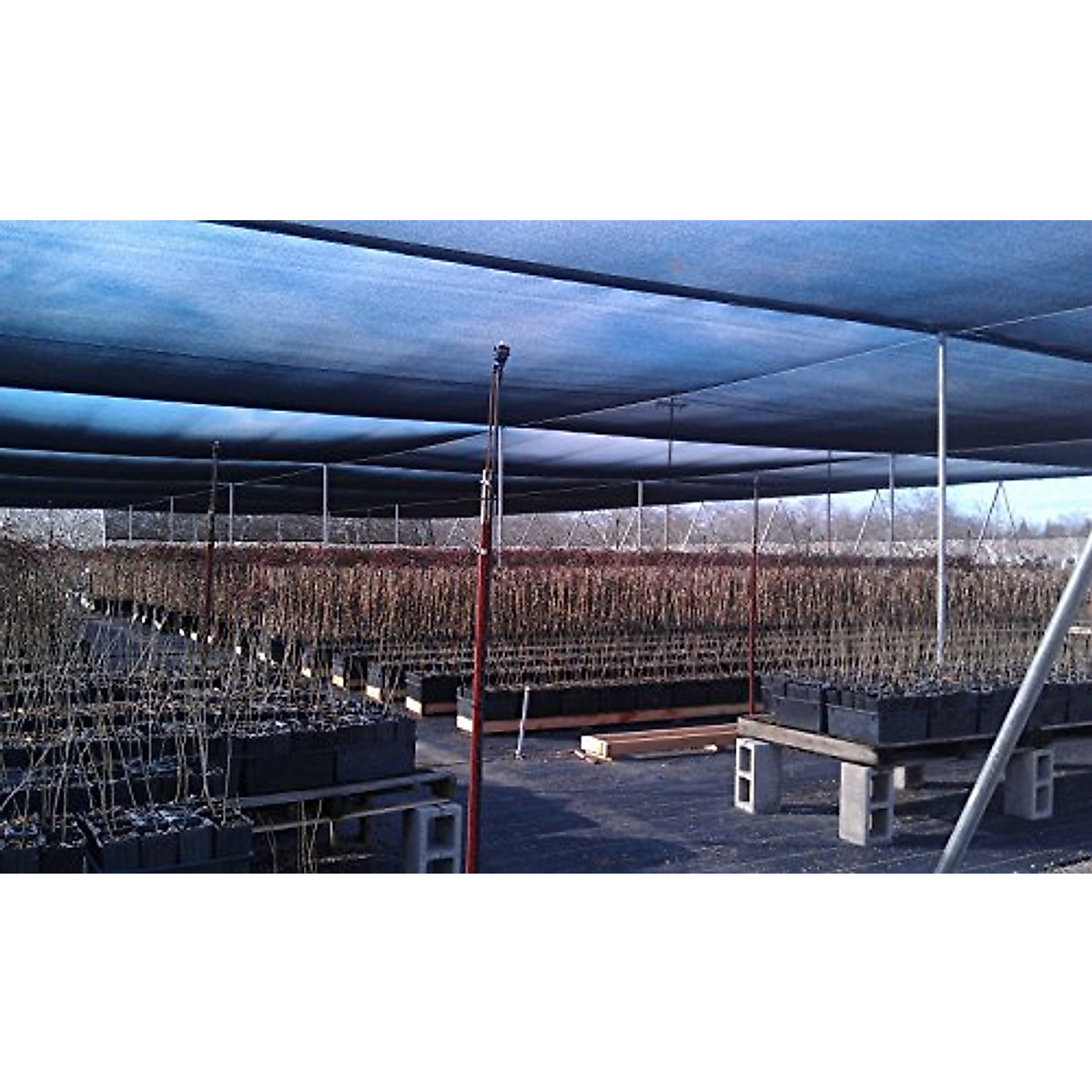 Be Cool Solutions 60% Black Outdoor Sun Shade Canopy: UV Protection Shade Cloth| Lightweight, Easy Setup Mesh Canopy Cover with Grommets| Sturdy, Durable Shade Fabric for Garden, Patio & Porch 20'x24'