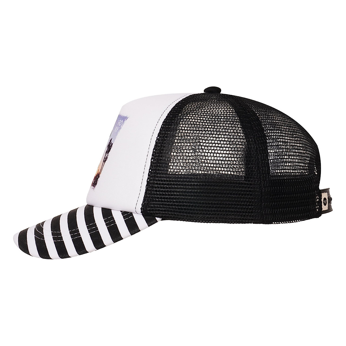 Roxy Women's Truckin Trucker HAT, Anthracite Basic Horizontal Exc, One Size