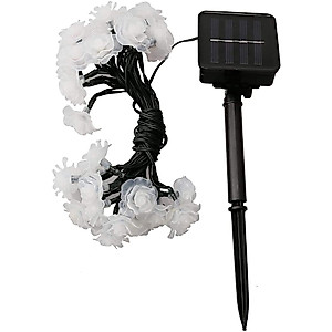 WONFAST Solar Flower String Lights, Waterproof 20FT 30LED Rose Flower 8Mode Solar Starry Ambiance Lighting Fairy String Lights for Gardens Path Home Wedding Party Christmas Decor (Red)