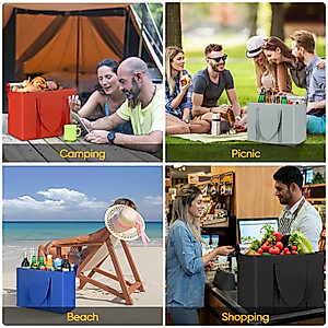 BALEINE 2Pk Insulated Reusable Grocery Bags, Collapsible Cooler Bag for Groceries, Heavy Duty Large Insulated Bag (16''x9''x13'', Antique Foliage)