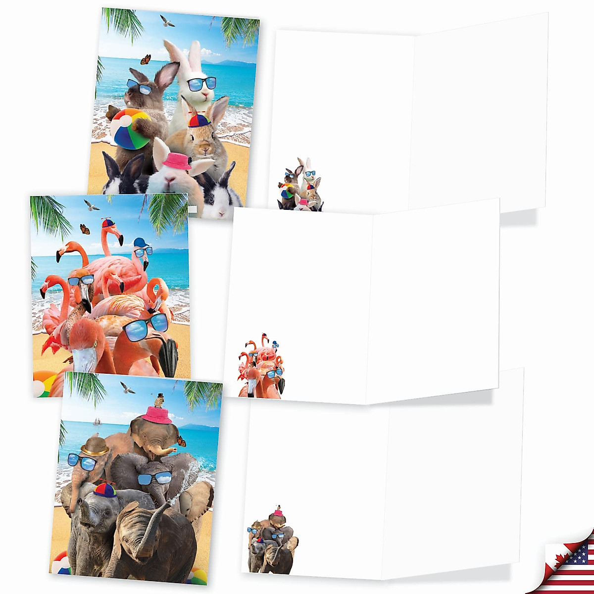 The Best Card Company - 20 Assorted Blank Note Cards Boxed Set 4 x 5.12 Inch with Envelopes (10 Designs, 2 Each) Wildlife Photo Ops AM10209OCB-B2x10