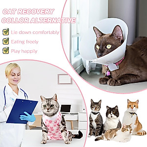 Due Felice Cat Surgery Recovery Suit Small Dog Surgical Recovery Onesie Pet After Surgery Wear for Female Male Cat Doggy Pink Heart/Medium