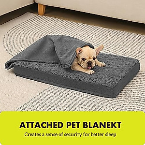 Furated Original Dog Beds for Medium Dogs, Orthopedic Dog Bed with Blanket Attached, Egg-Crate Foam Pet Bed with Removable Washable Cover and Waterproof Liner, Iron Gray, M