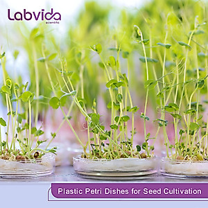 Labvida 20-Pack Sterile Petri Dishes with Lids - 90mm Diameter, 15mm Depth - 3 Air Vents - Ideal for Mycology, Bacteria Cultivation, Lab Testing, and Science Projects, LVAE001