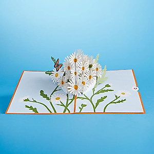 Lovepop Cards - Daisies with Monarch Butterfly, 3D Butterfly Birthday Card, Thank You Card, Blank Envelope Included