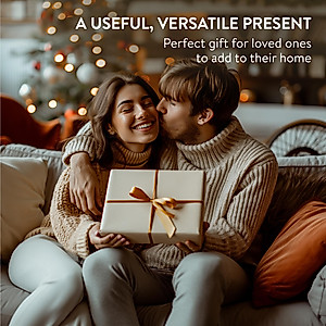 Navaris Faux Leather Valet Tray Set of 2, Catch All Tray, Key Tray for Entryway Table, Nightstand Tray, Catchall for Keys, Watch, Remote, Phone, Valet Tray for Men, Mens Valet Tray