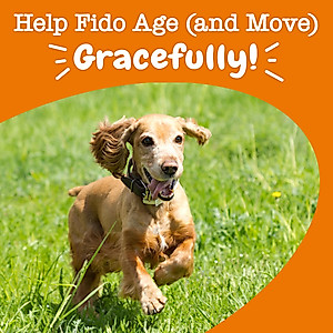 Zesty Paws Mobility Bites Joint Supplement for Dogs - Hip and Joint Chews for Dogs - Glucosamine for Dogs, Chondroitin, & MSM + Vitamins C and E for Dog Joint Relief - Adv Chicken - 60 Count