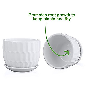 Brajttt Flower Pots, 4 Inch Cylinder Ceramic Plant Pots with Connected Saucer, Mini Ceramic Planters for Succulent and Little Snake Plants (6 Pack, White)