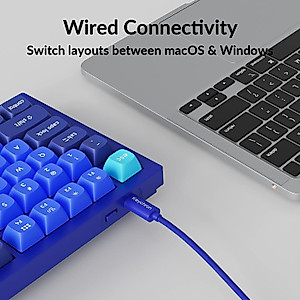 Keychron Q3 Wired Custom Mechanical Keyboard Knob Version, TKL Tenkeyless QMK/VIA Programmable Macro with Hot-swappable Gateron G Pro Red Switch Double Gasket Compatible with Mac Windows Linux (Blue)