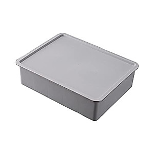 Alipis 1pc Box Storage Box with Lid Desk Trays Desk Drawer Plastic Container Bra Desk Divider Bra Organizer Box Bra Storage Box Underwear Organizing Box Underwear Organizing Case Sock