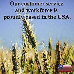 Grain, Wheat - Hard White - 1 Lb ~8,000 Seeds - Triticum aestivum - Non-GMO, Open Pollinated - Farm & Garden Grain - Emergency Storage, Cover Crop