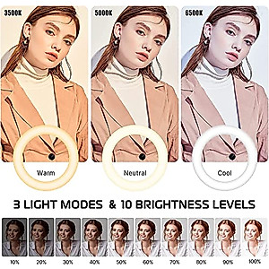 [Upgraded Base] ULANZI Overhead Phone Mount with 10" Selfie Ring Light, Tabletop Light Stand with 360° Shooting Arm, 3500k-6500K Dimmable Ring Light for Video Recording, Live Stream, Portrait & Makeup