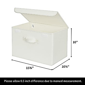 GRANNY SAYS Bundle of 2-Pack Storage Baskets with Lids Large & 1-Pack Hanging Closet Organizer